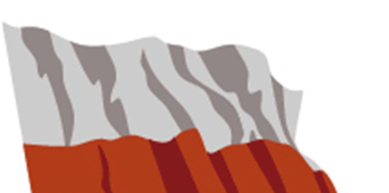 Astaldi Polish motorway scheme - Construction Briefing