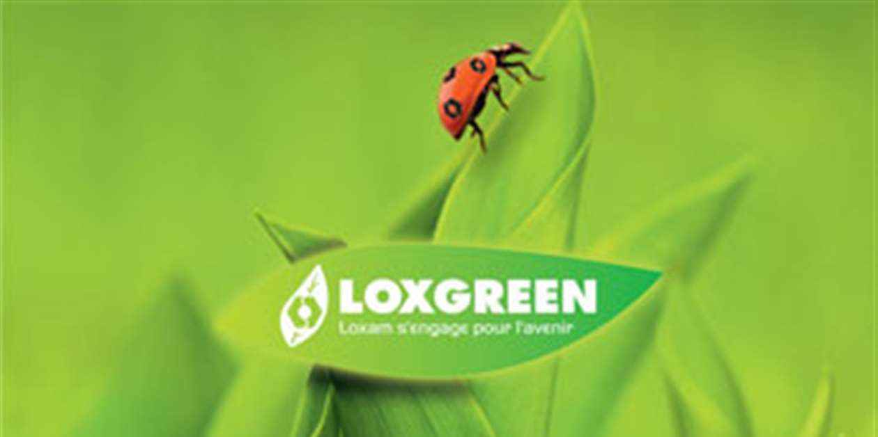 Loxam launches ‘Loxgreen’ low emissions fleet - Construction Briefing