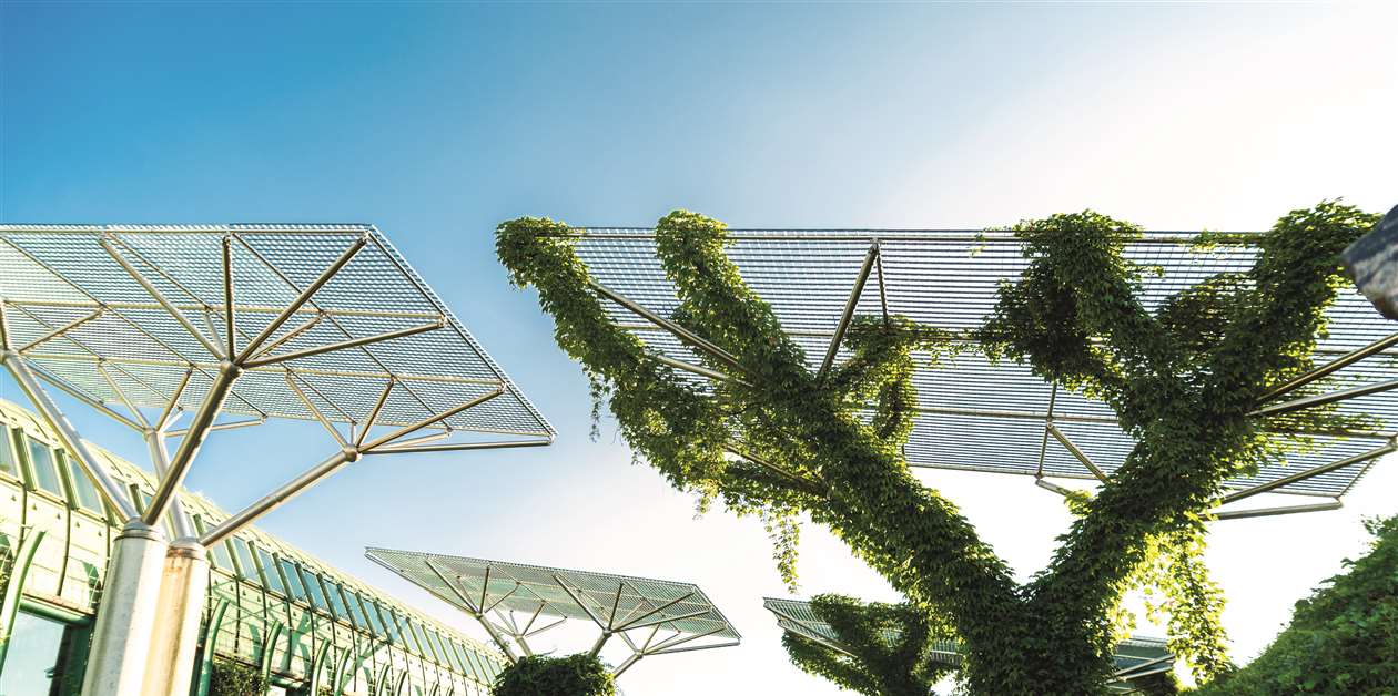A vision for net-zero buildings - Construction Briefing