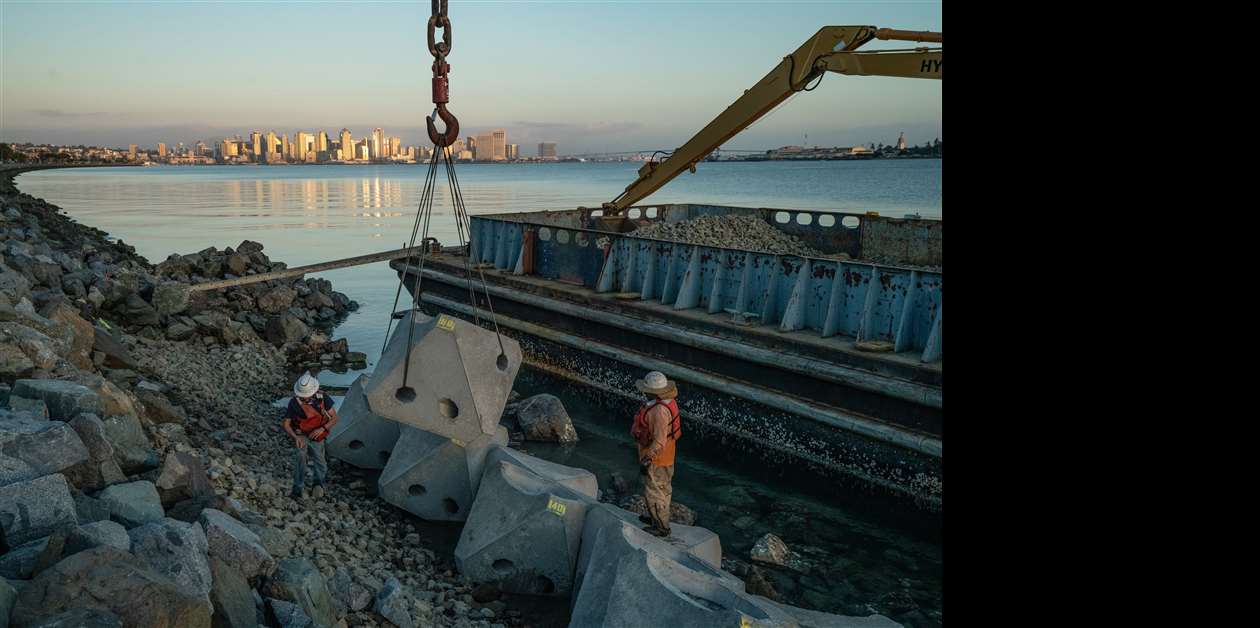 A sustainable solution for marine construction - Construction Briefing