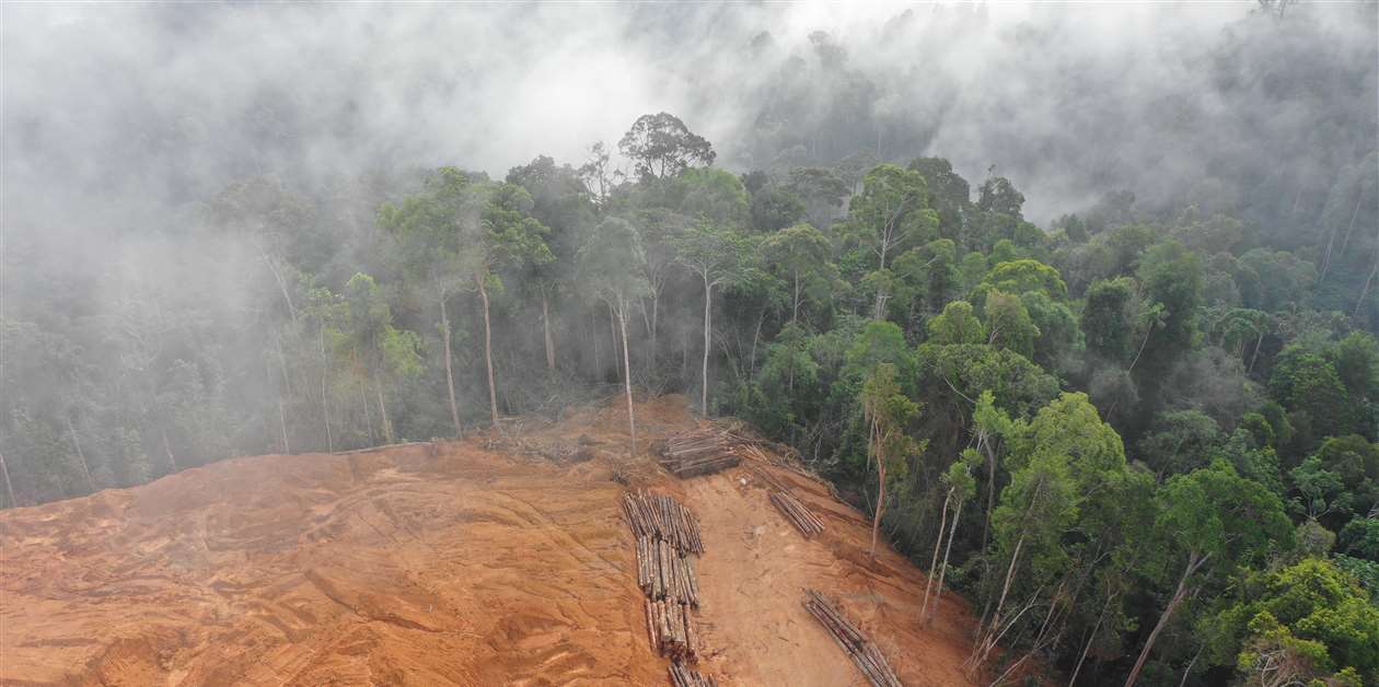 Brazil’s Lula approves controversial road through the Amazon ...