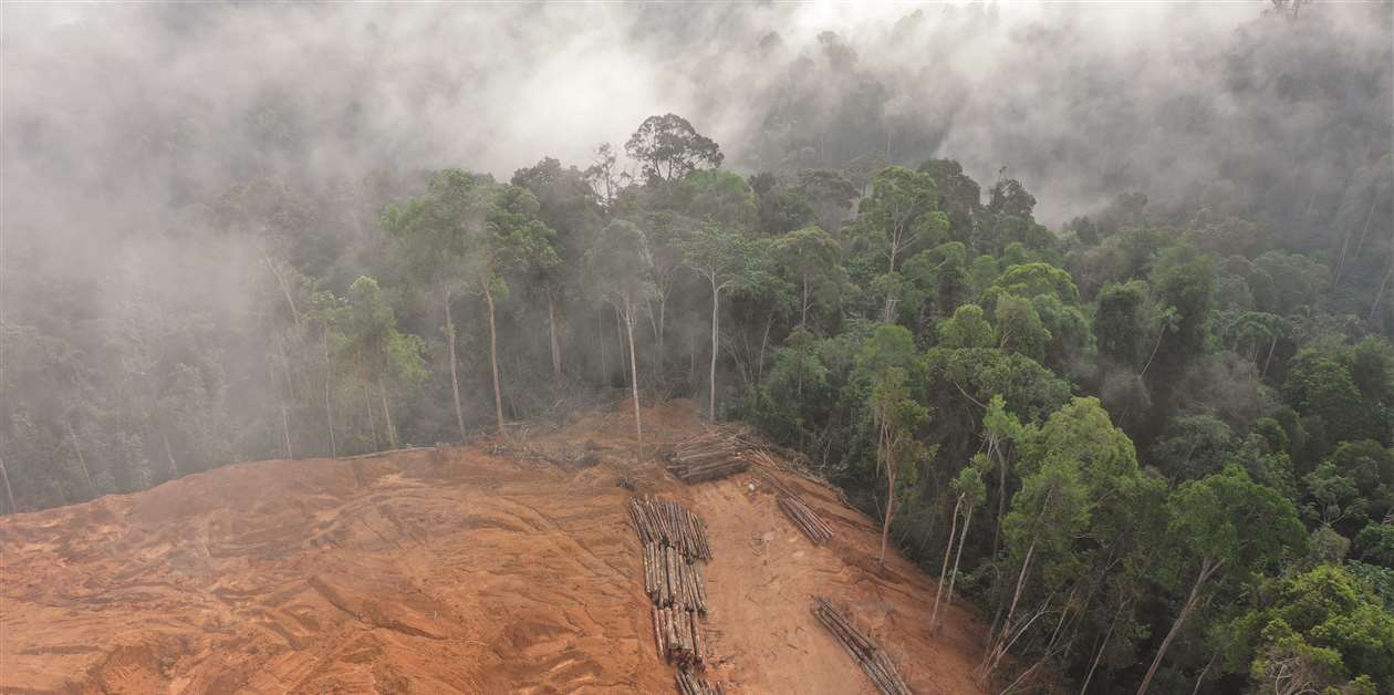 Brazil: Infrastructure investment slowly recovering - Construction Briefing