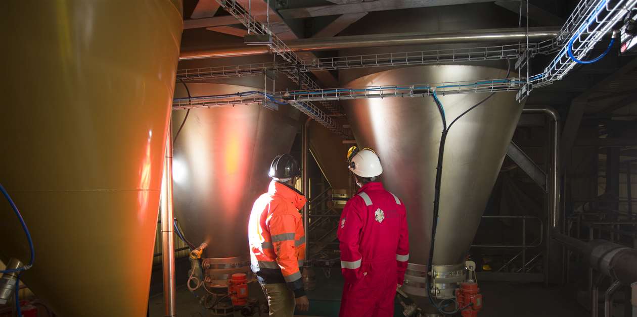 Material Evolution anuncia que su planta de cemento con emisiones ...