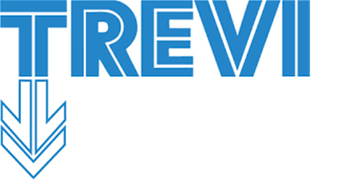 Trevi selling oil & gas companies - Construction Briefing